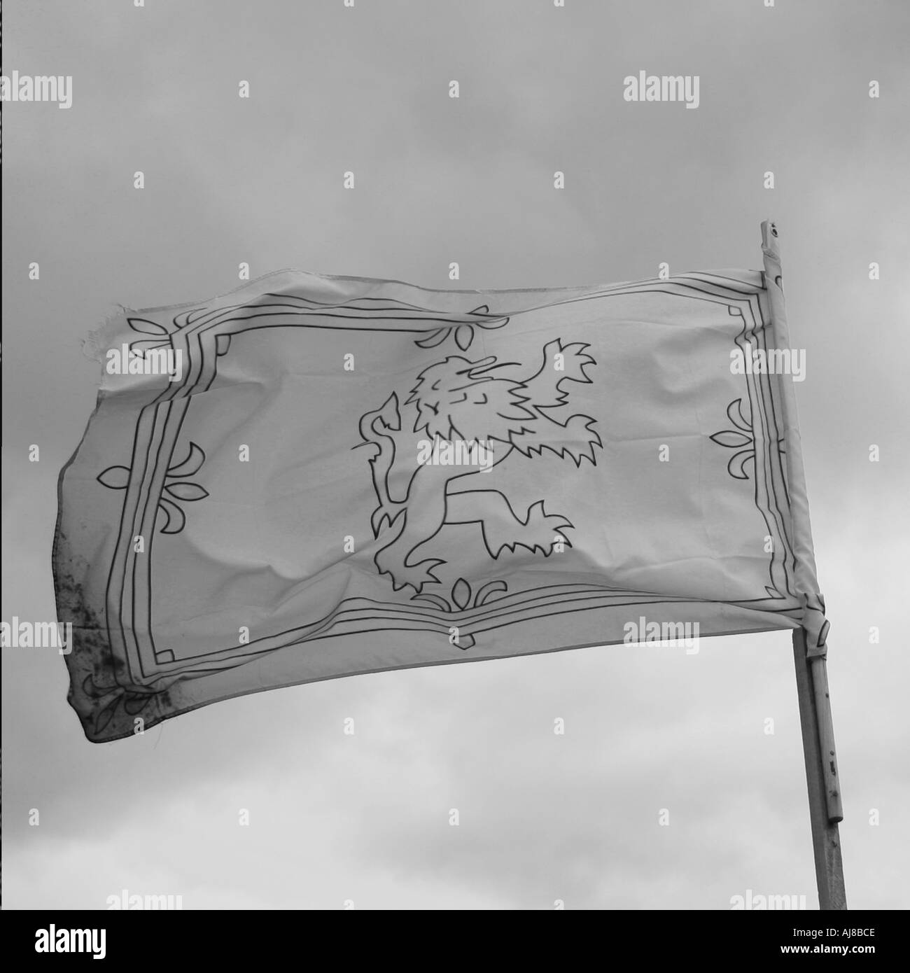 Lion rampant of scotland -Fotos und -Bildmaterial in hoher Auflösung ...