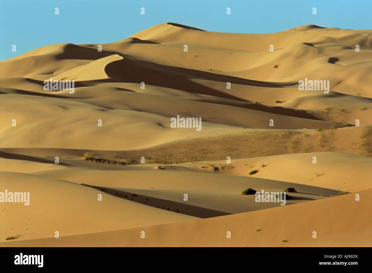 Khongoryn Els Sanddüne. Süd-Gobi Wüste. Mongolei Stockfotografie - Alamy