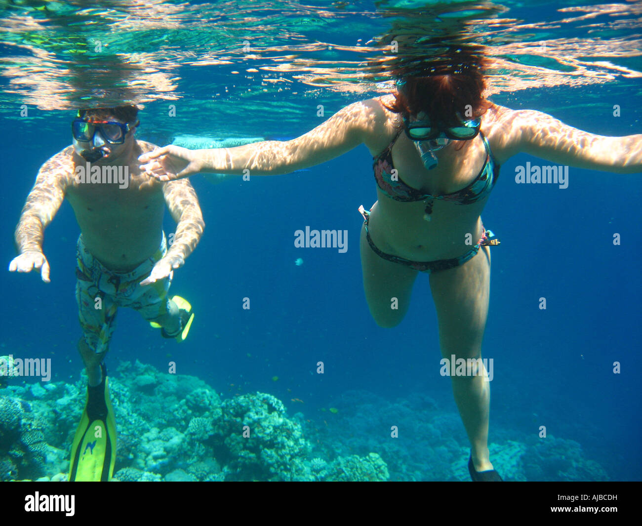 Unterwasser Tauchen Bild Der Taucher Schnorcheln Im Roten Meer Am