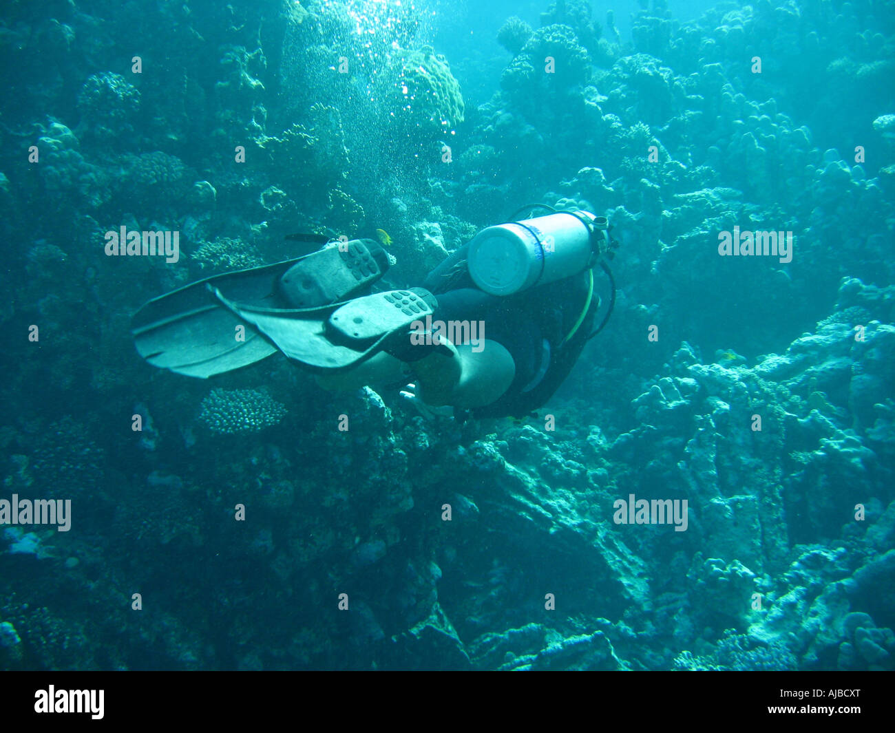 Taucher Tauchen Im Meer Fotos Und Bildmaterial In Hoher Auflösung Alamy