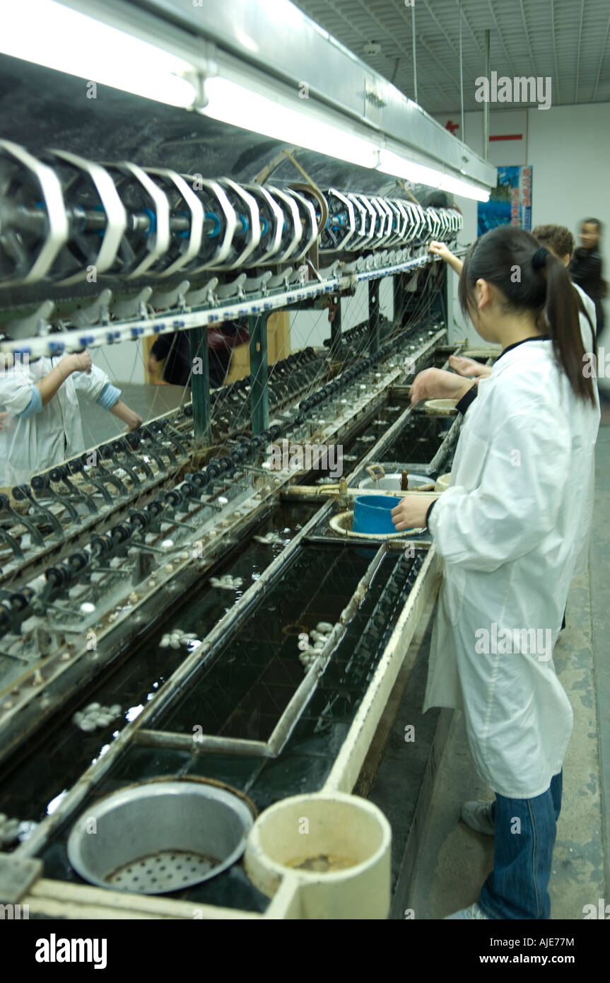 Silk spinning machine -Fotos und -Bildmaterial in hoher Auflösung – Alamy