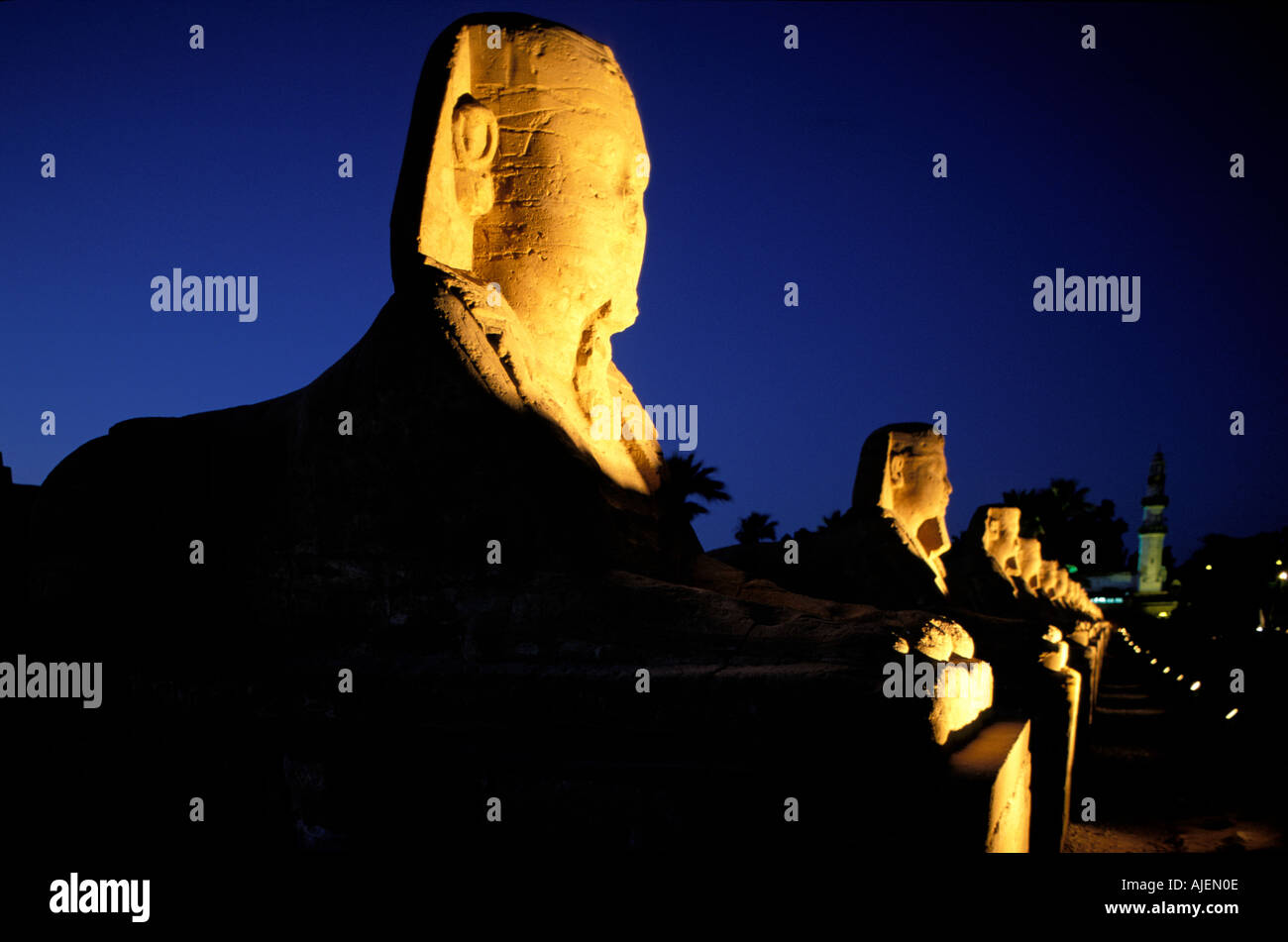Theben und sphinx -Fotos und -Bildmaterial in hoher Auflösung – Alamy