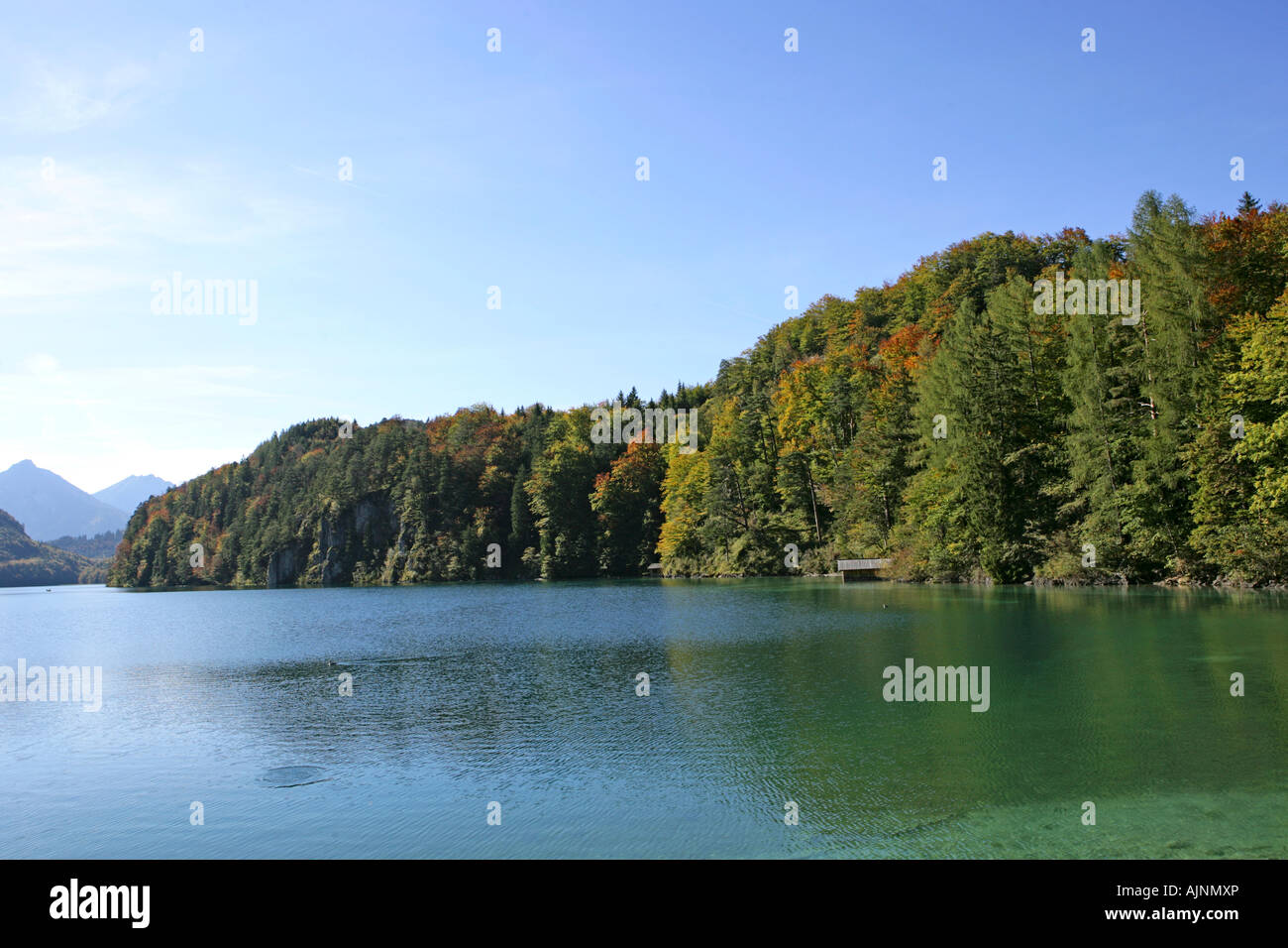 Blick auf den see alpsee -Fotos und -Bildmaterial in hoher Auflösung ...