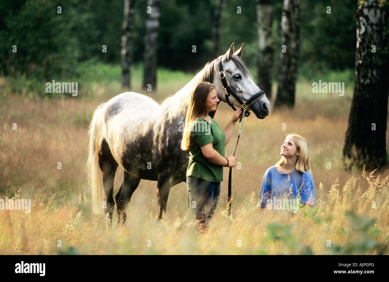Equiden halten -Fotos und -Bildmaterial in hoher Auflösung – Alamy
