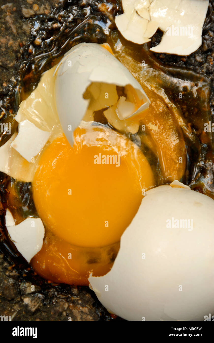 Faules ei -Fotos und -Bildmaterial in hoher Auflösung – Alamy