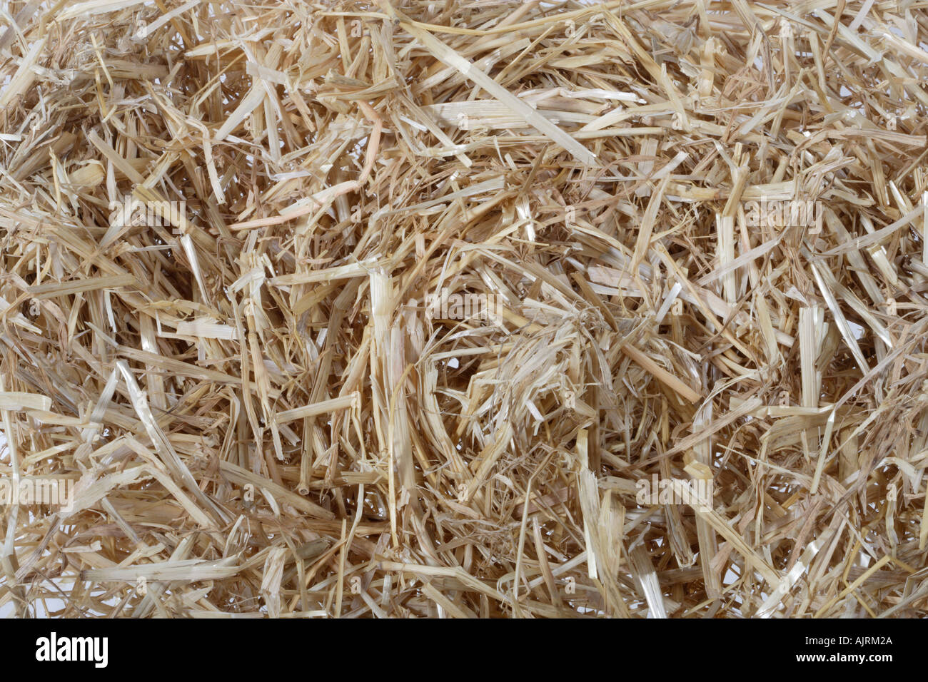 Stroh zur verwendung als tiereinstreumaterial -Fotos und -Bildmaterial ...