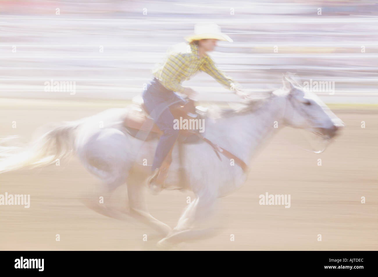 Reiter galoppieren -Fotos und -Bildmaterial in hoher Auflösung – Alamy