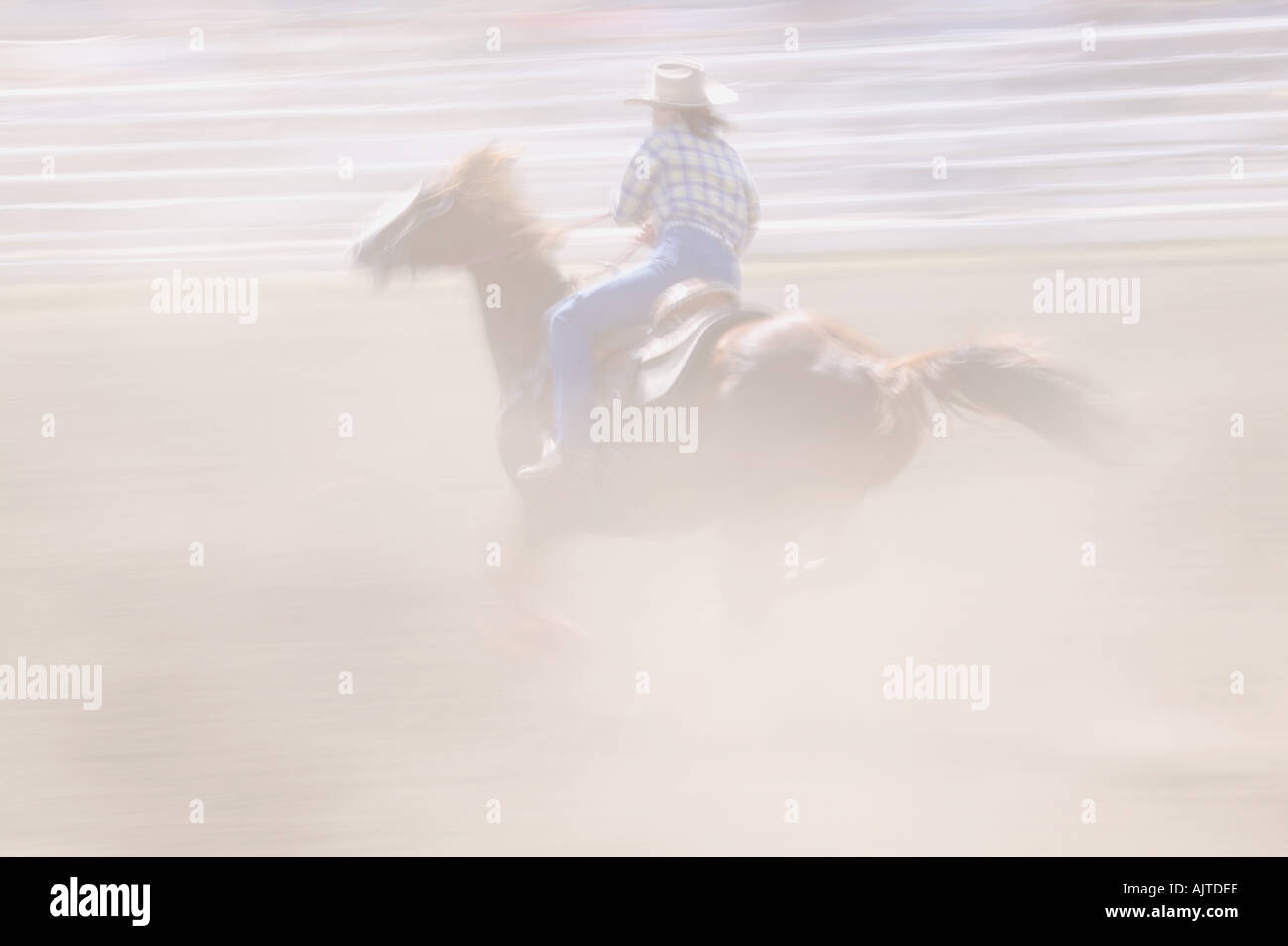 Reiter galoppieren -Fotos und -Bildmaterial in hoher Auflösung – Alamy