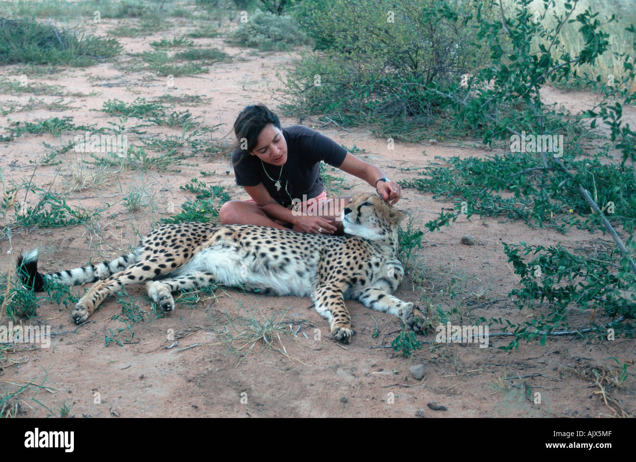 Menschlicher gepard -Fotos und -Bildmaterial in hoher Auflösung - Seite 2 - Alamy