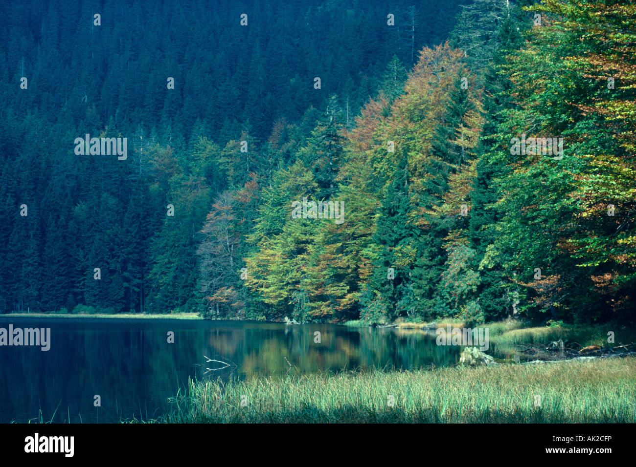 At the rachelsee -Fotos und -Bildmaterial in hoher Auflösung – Alamy