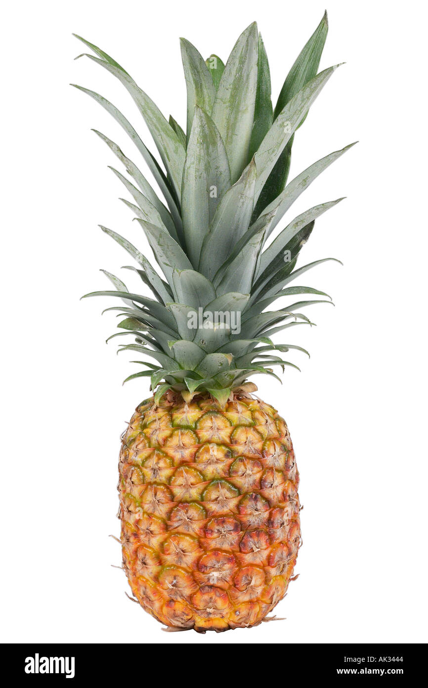 Ananas golden -Fotos und -Bildmaterial in hoher Auflösung – Alamy