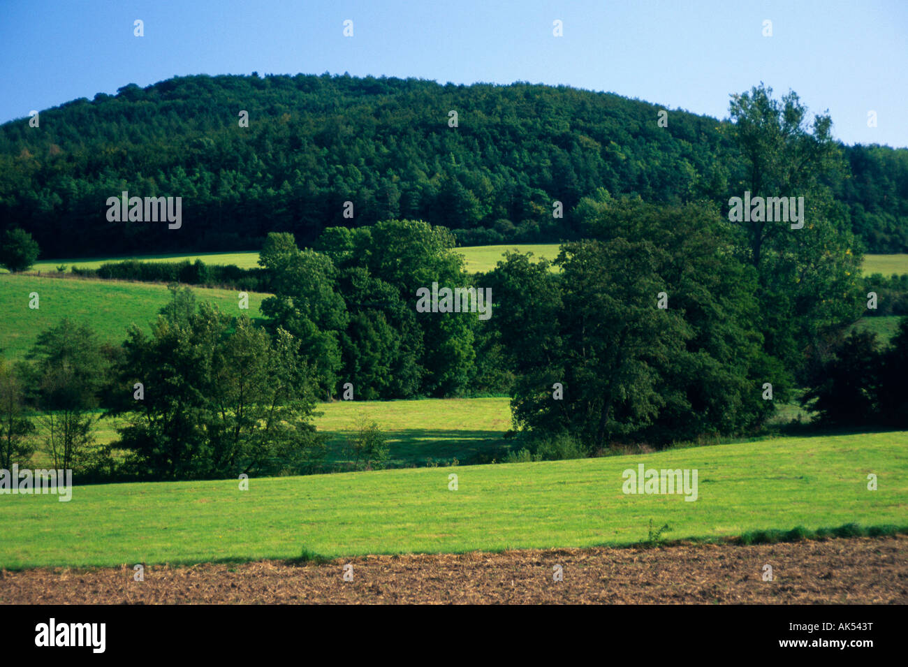 Naturpark habichtswald -Fotos und -Bildmaterial in hoher Auflösung – Alamy