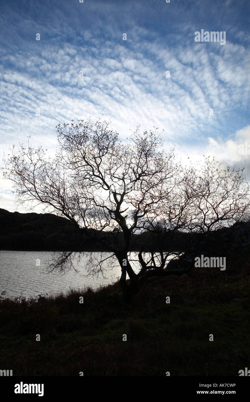 Cwm bychan snowdonia nationalpark -Fotos und -Bildmaterial in hoher ...