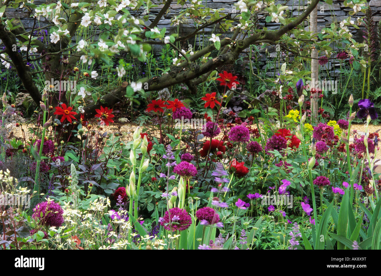 Chelsea FS 2003 Design: Fiona Lawrenson Kombinationsanlage. Quitte Baum ...