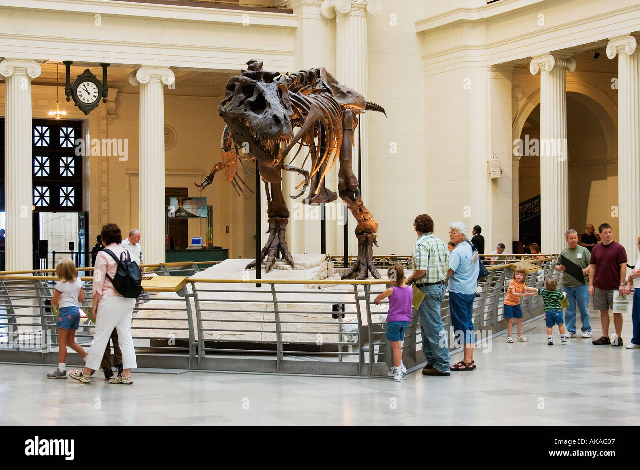 T rex skeleton field museum chicago -Fotos und -Bildmaterial in hoher ...