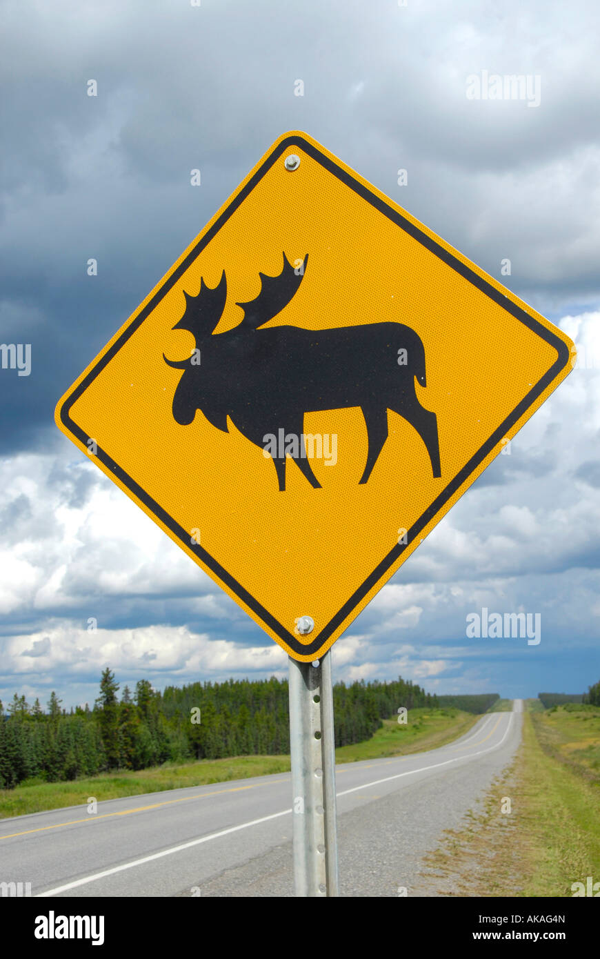 Elch symbol -Fotos und -Bildmaterial in hoher Auflösung - Seite 2 - Alamy