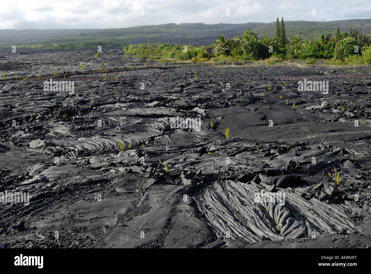 Hawaiianische eruption -Fotos und -Bildmaterial in hoher Auflösung – Alamy