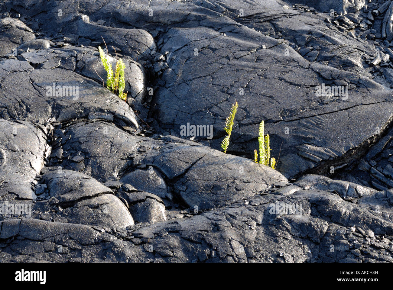 Cross section of lava flow -Fotos und -Bildmaterial in hoher Auflösung ...