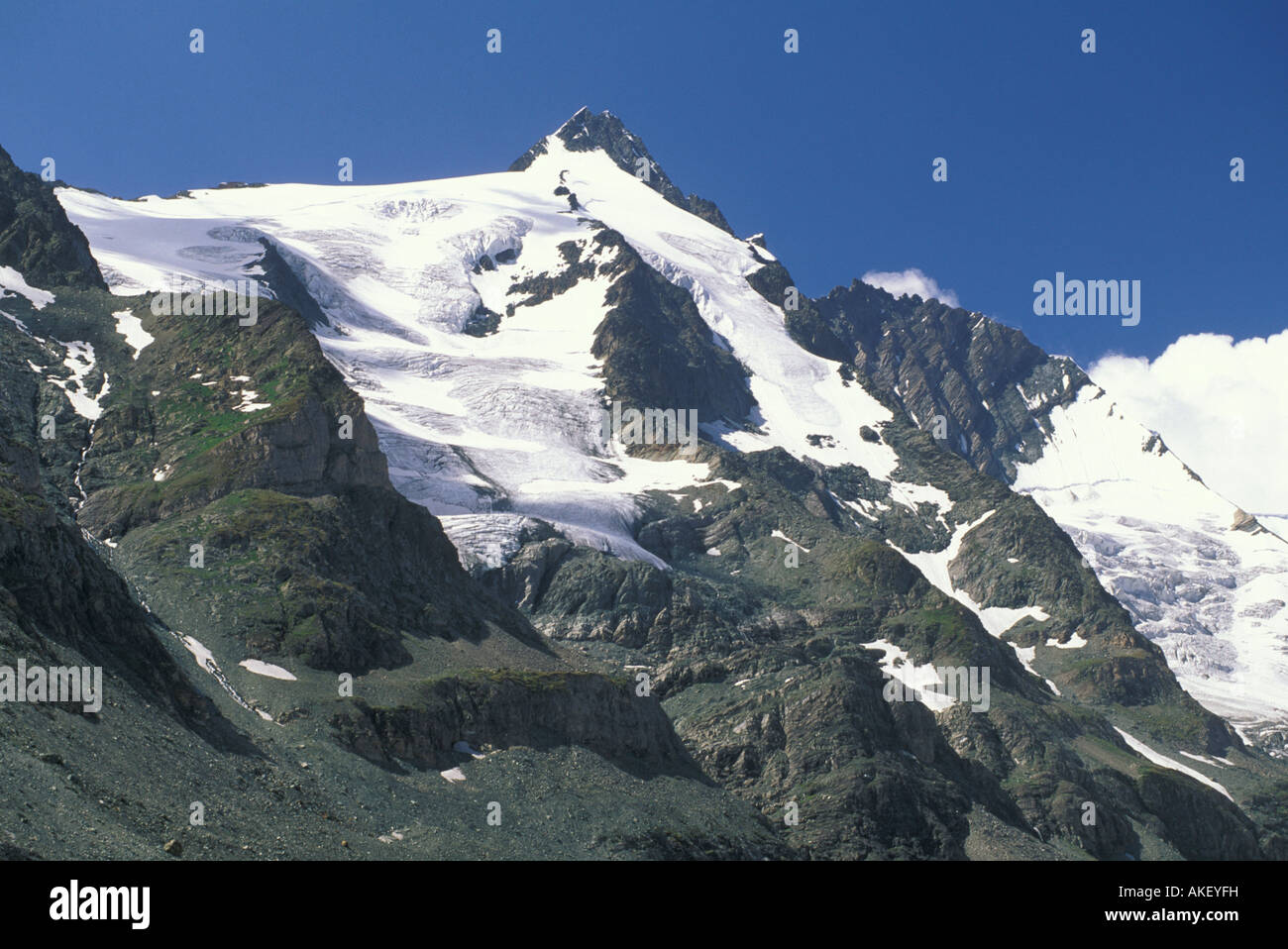 Alti tauri tauri -Fotos und -Bildmaterial in hoher Auflösung – Alamy