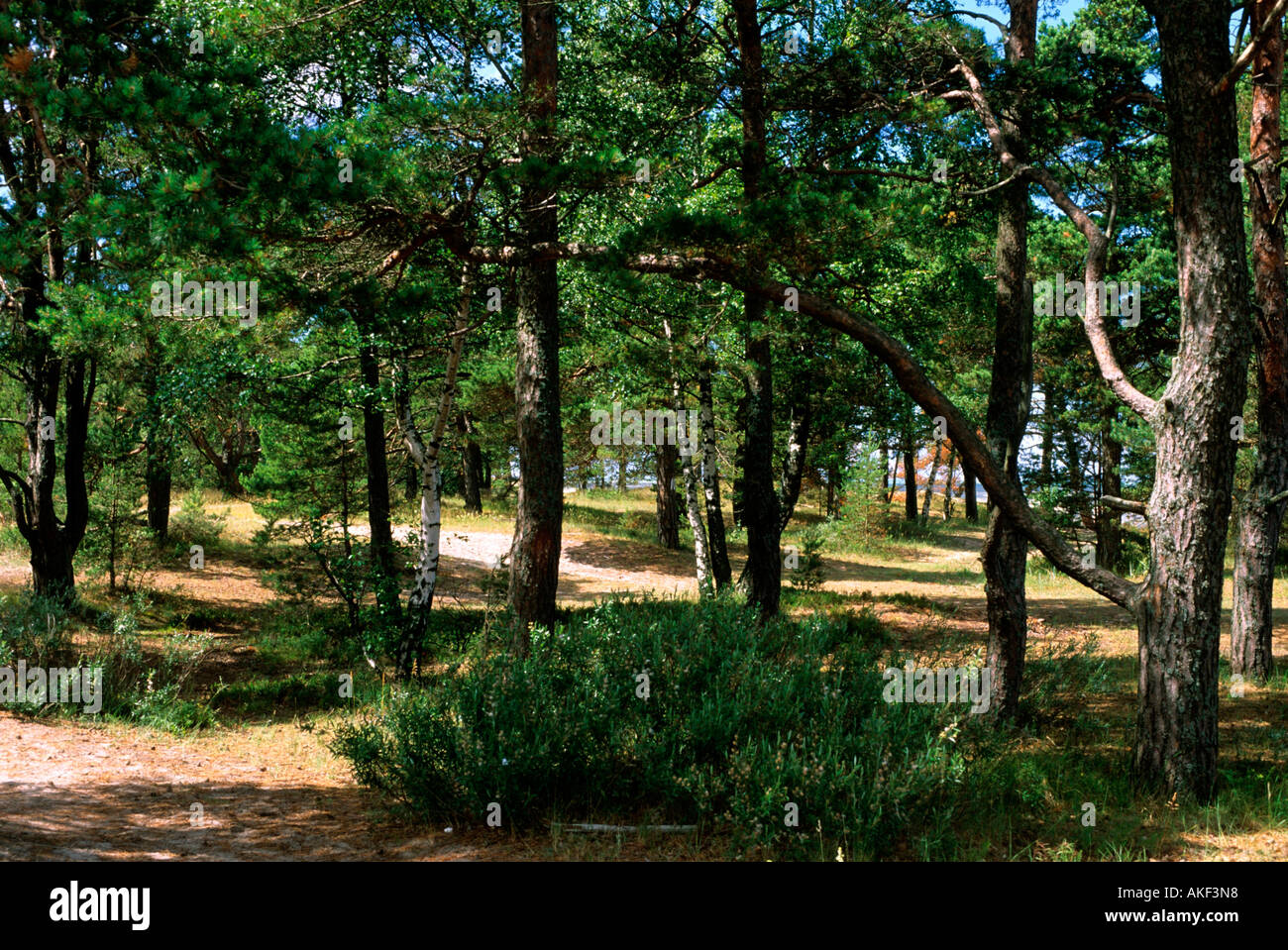 Slitere national park -Fotos und -Bildmaterial in hoher Auflösung – Alamy