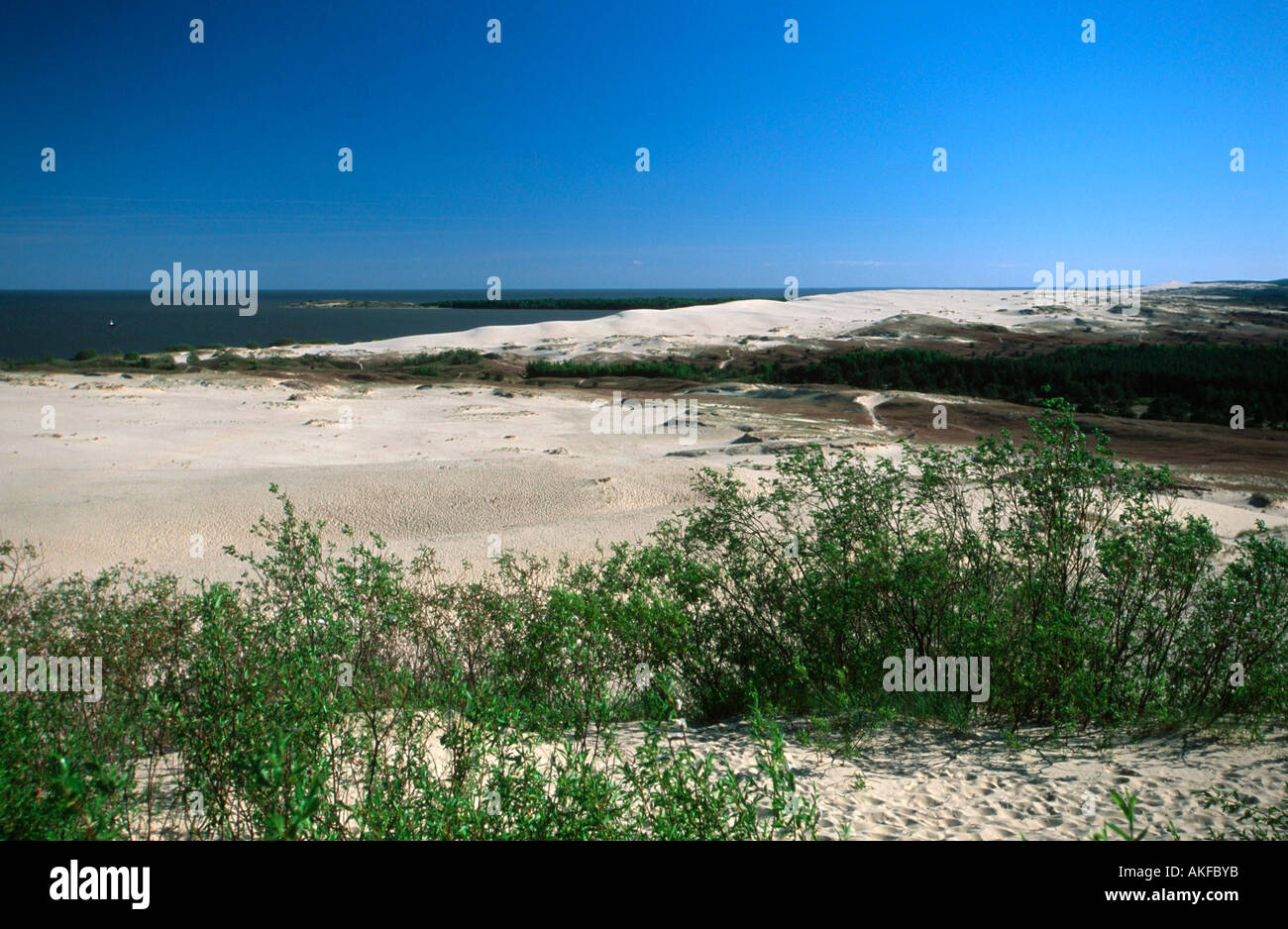 Dune of nidden -Fotos und -Bildmaterial in hoher Auflösung – Alamy
