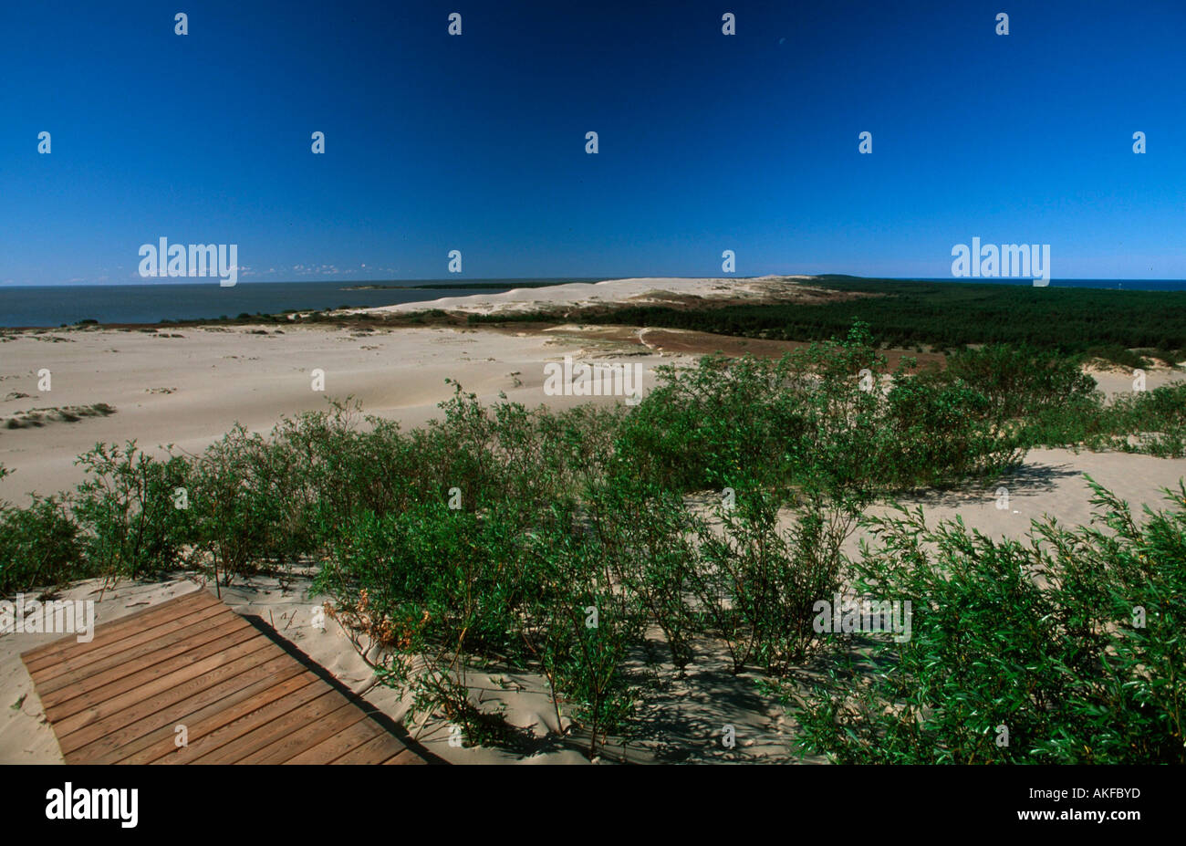 Kurische Nehrung, Nida (Nidden), Parniddener Düne Stockfotografie - Alamy