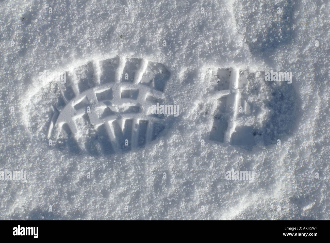 Baum mark schuh -Fotos und -Bildmaterial in hoher Auflösung – Alamy