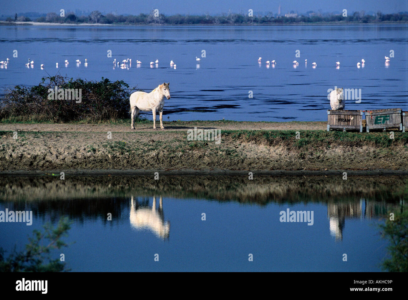 Valle bertuzzi -Fotos und -Bildmaterial in hoher Auflösung – Alamy