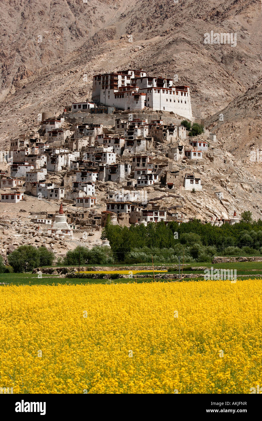 Indien, Jammu und Kashmir, Ladakh Region, Indus-Tal, Chemrey Gompa ...
