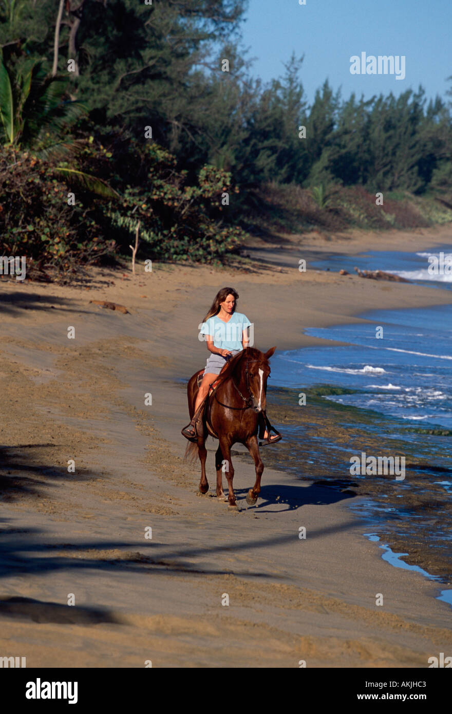 Reiterin auf pferd -Fotos und -Bildmaterial in hoher Auflösung – Alamy