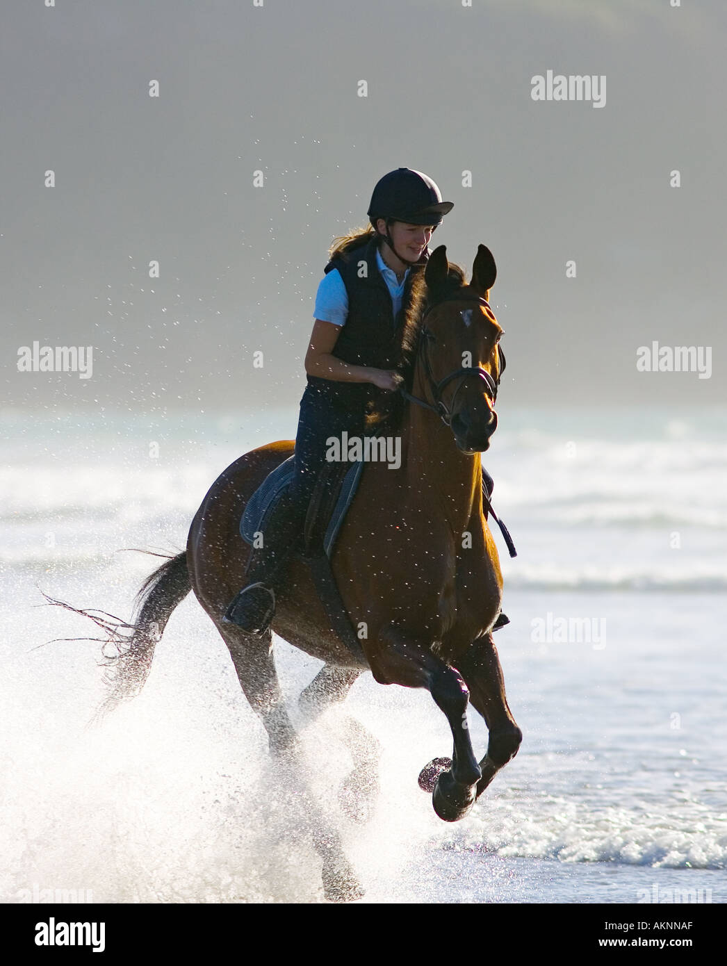 Reiter und pferd am strand -Fotos und -Bildmaterial in hoher Auflösung ...