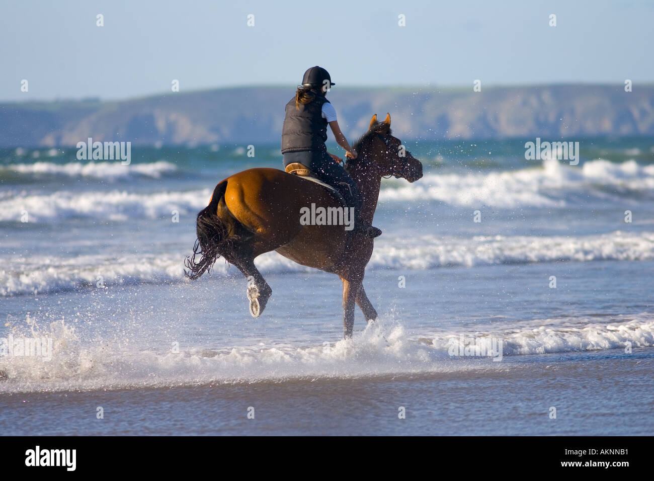 Reiter und pferd am strand -Fotos und -Bildmaterial in hoher Auflösung – Alamy