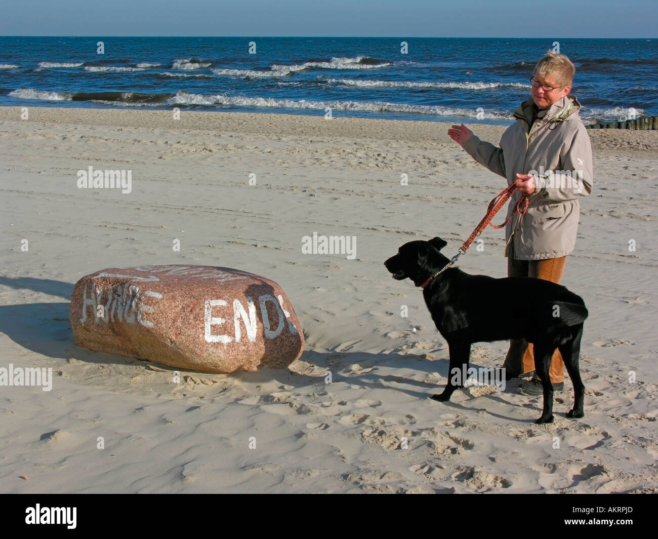 Schwarzer hund halt -Fotos und -Bildmaterial in hoher Auflösung – Alamy