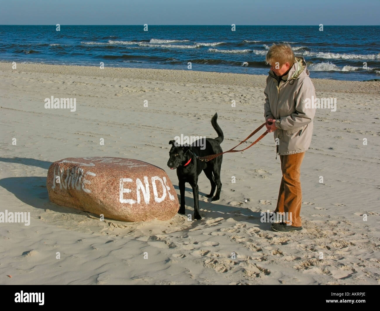 Schwarzer hund halt -Fotos und -Bildmaterial in hoher Auflösung – Alamy