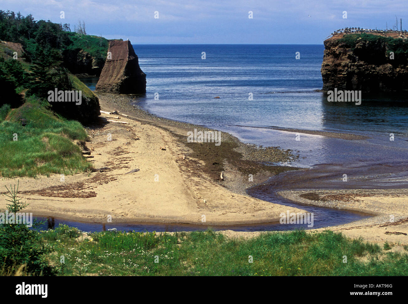 Pokeshaw park new brunswick -Fotos und -Bildmaterial in hoher Auflösung ...