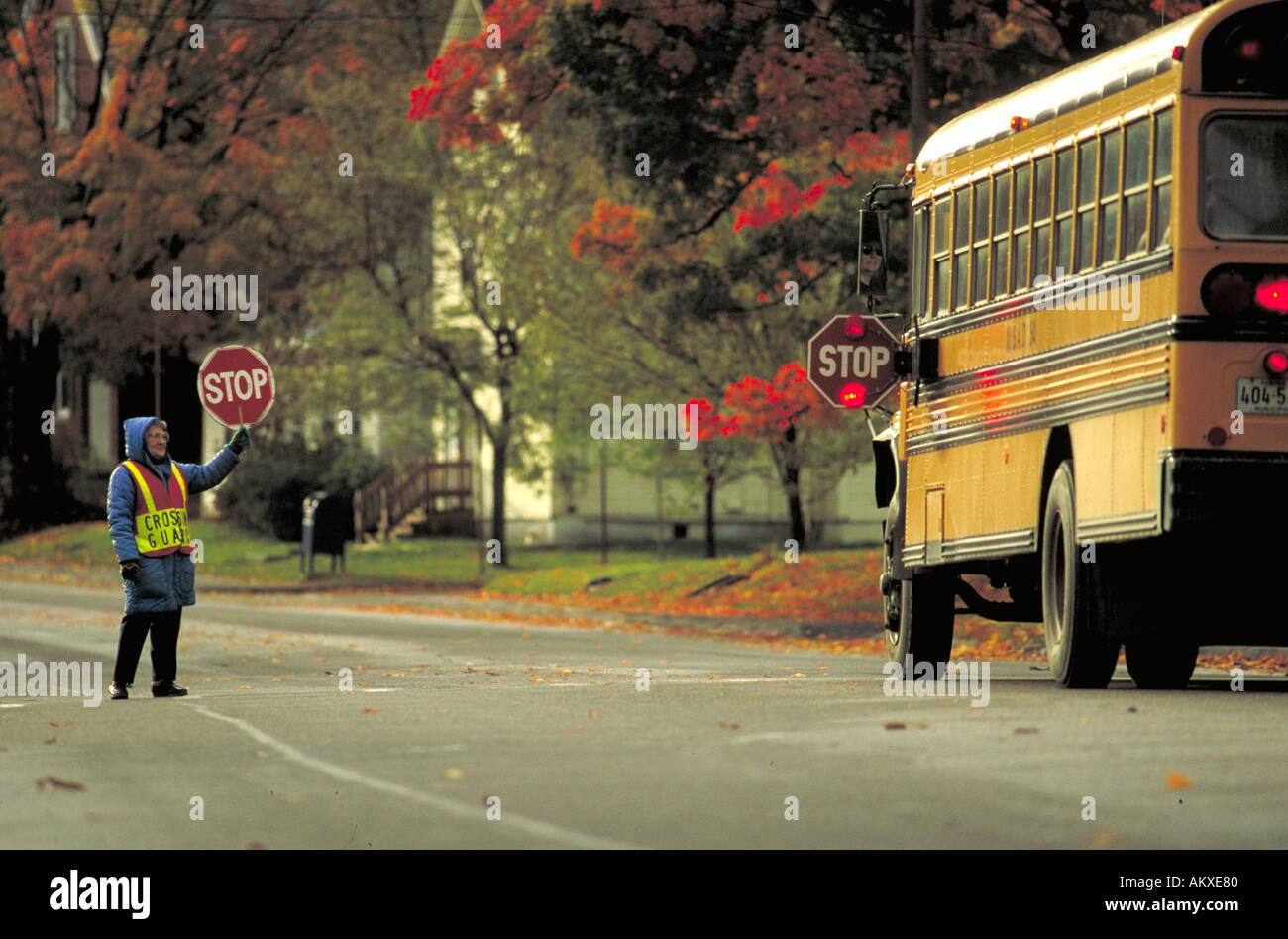 School bus stop -Fotos und -Bildmaterial in hoher Auflösung – Alamy