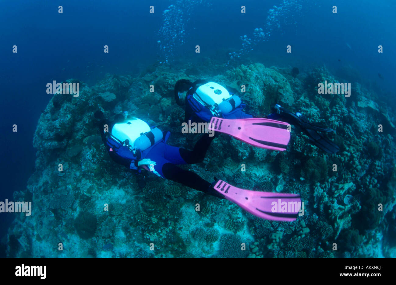 Rebreather technischer taucher -Fotos und -Bildmaterial in hoher ...