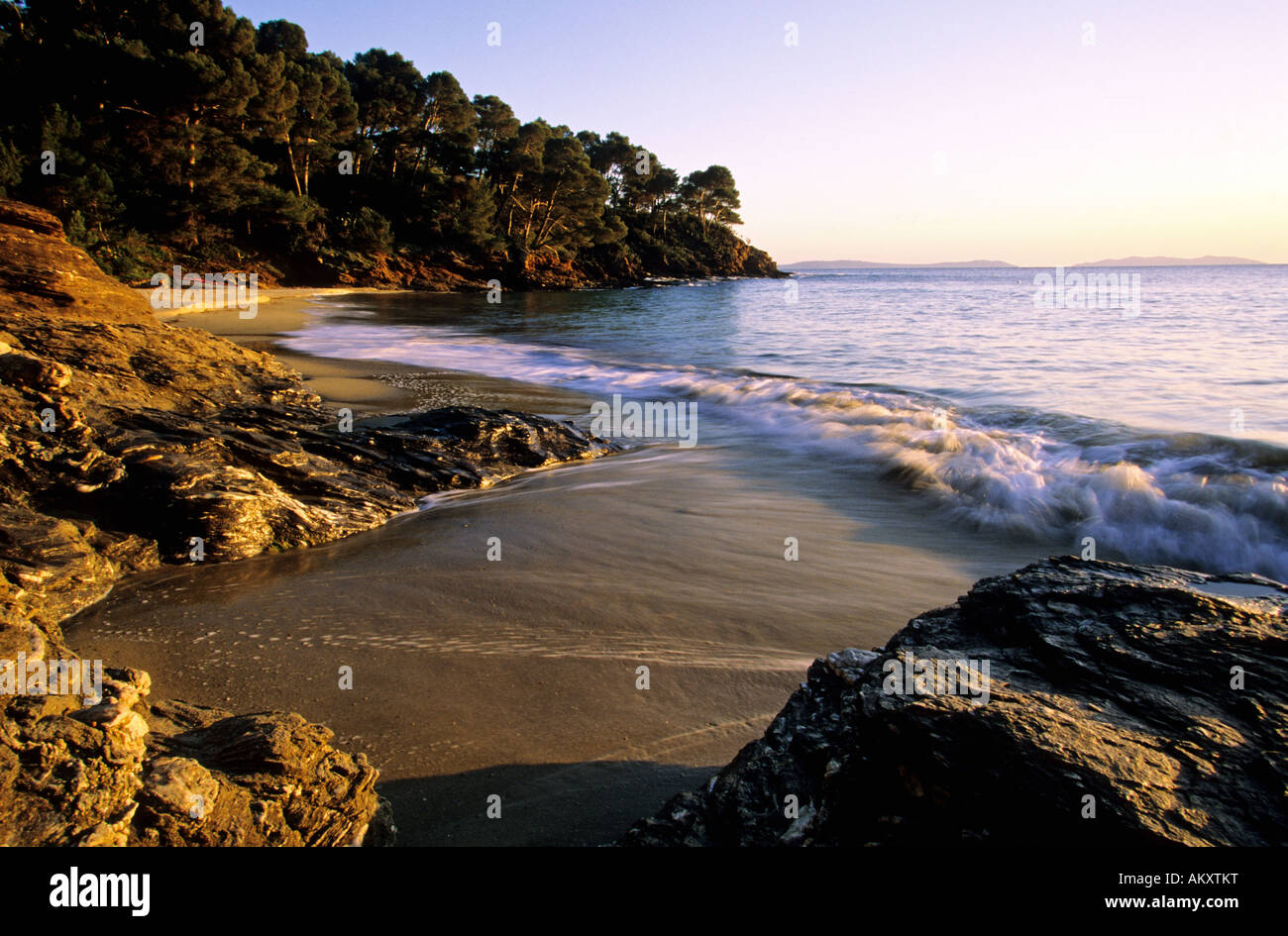 Frankreich, Var, Rayol Canadel Sur Mer, Domaine du Rayol, Jardin des ...
