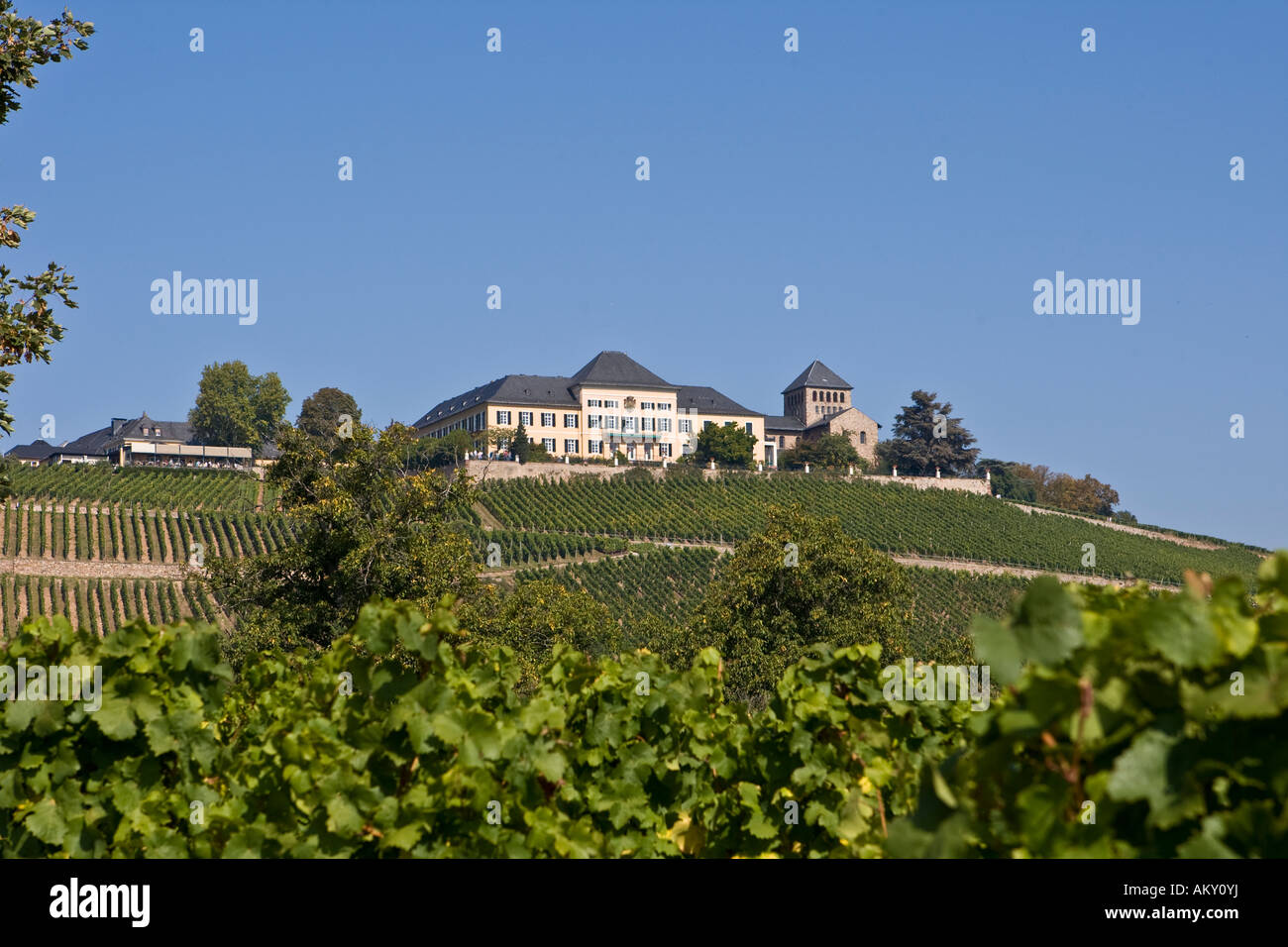 Schloss johannisberg -Fotos und -Bildmaterial in hoher Auflösung – Alamy