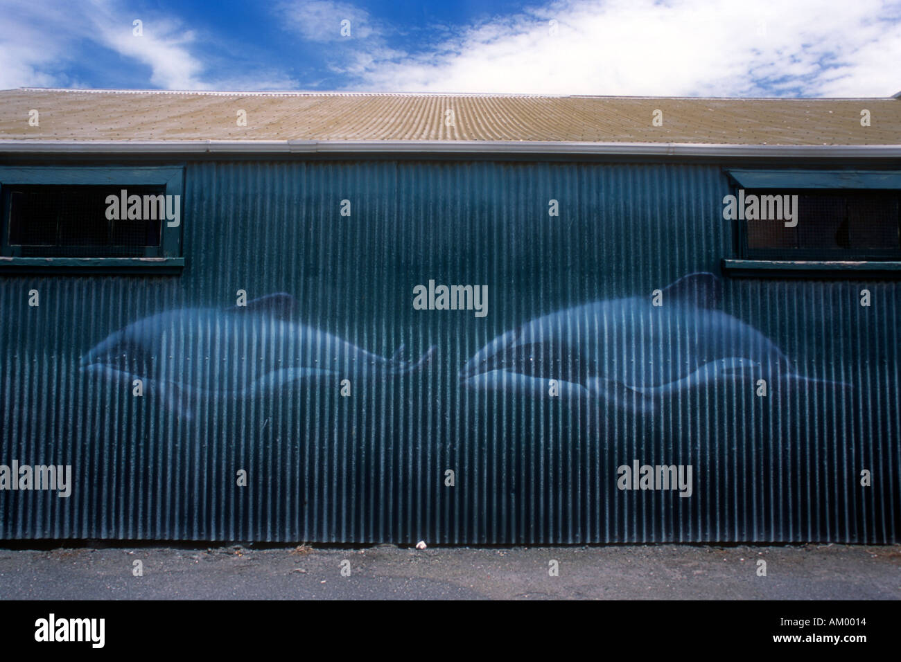 Gemalte wale -Fotos und -Bildmaterial in hoher Auflösung – Alamy