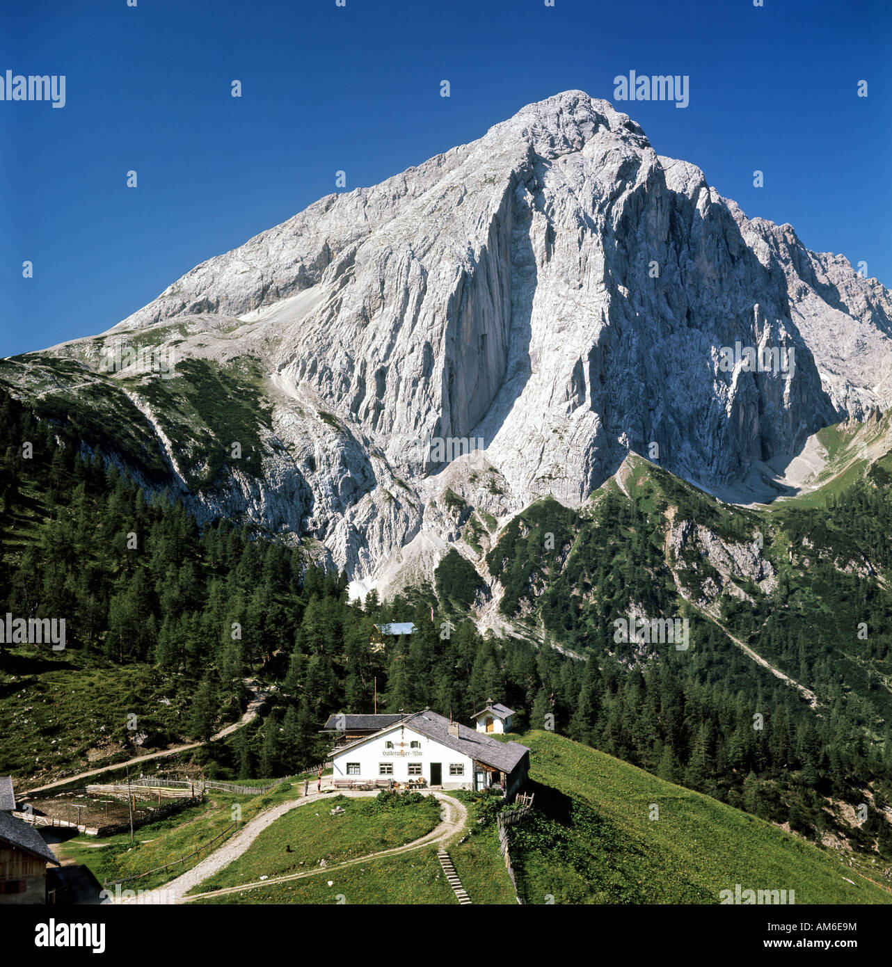 Halleranger alm -Fotos und -Bildmaterial in hoher Auflösung – Alamy