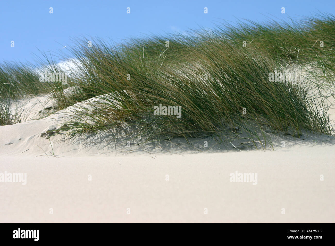 Netherlands holland europe renesse north -Fotos und -Bildmaterial in ...