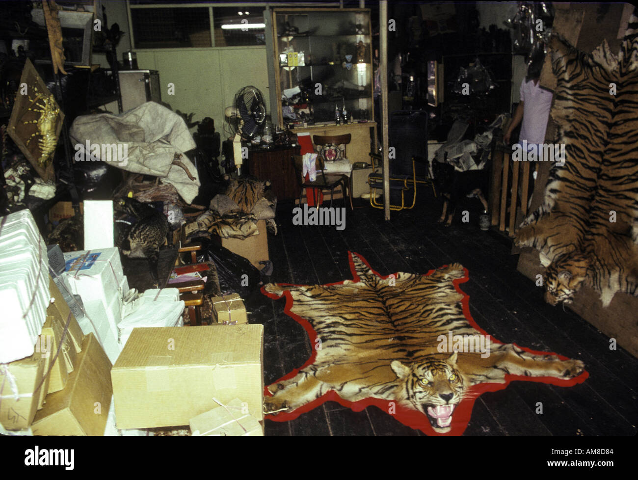 Illegal and tiger skin and trade -Fotos und -Bildmaterial in hoher ...