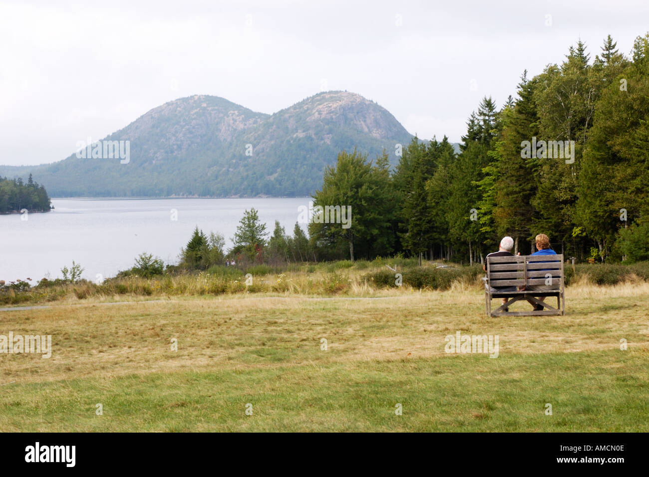 Aus dem Rasen des Jordan Teichhaus im Acadia National Park liegt ...