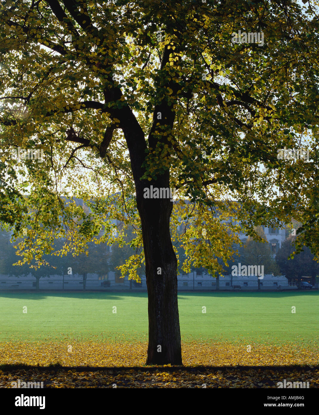 The zofingen Stockfotos und -bilder Kaufen - Alamy