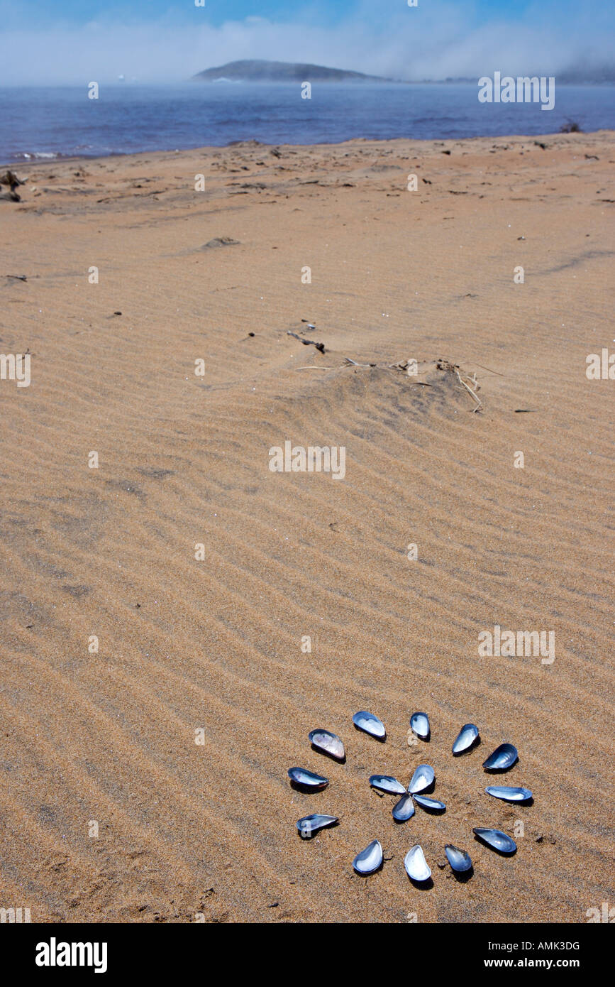Muschel Shell-Art-Design angelegt am Strand an der Mündung des Flusses ...
