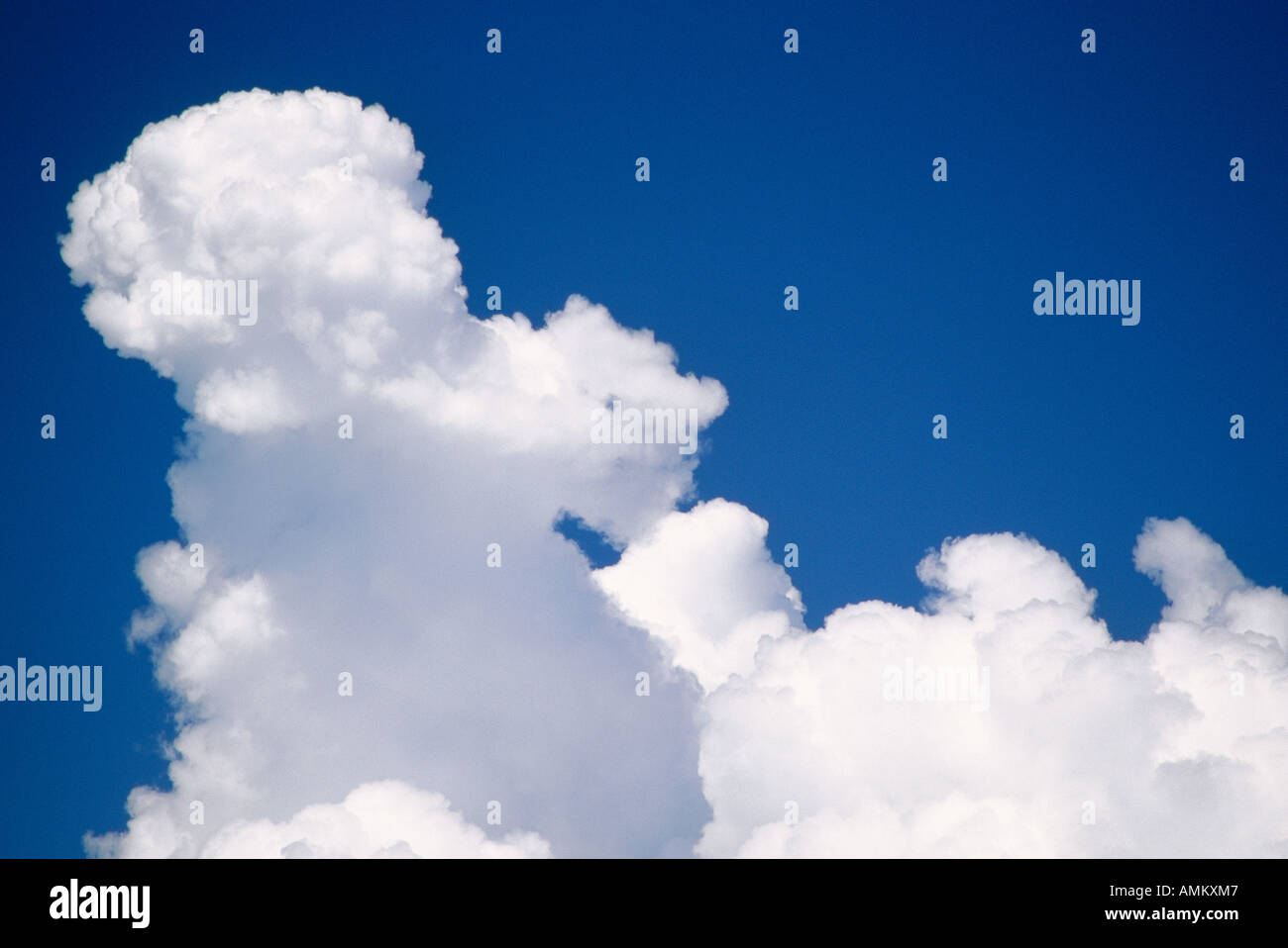 Gloria h chomica -Fotos und -Bildmaterial in hoher Auflösung – Alamy
