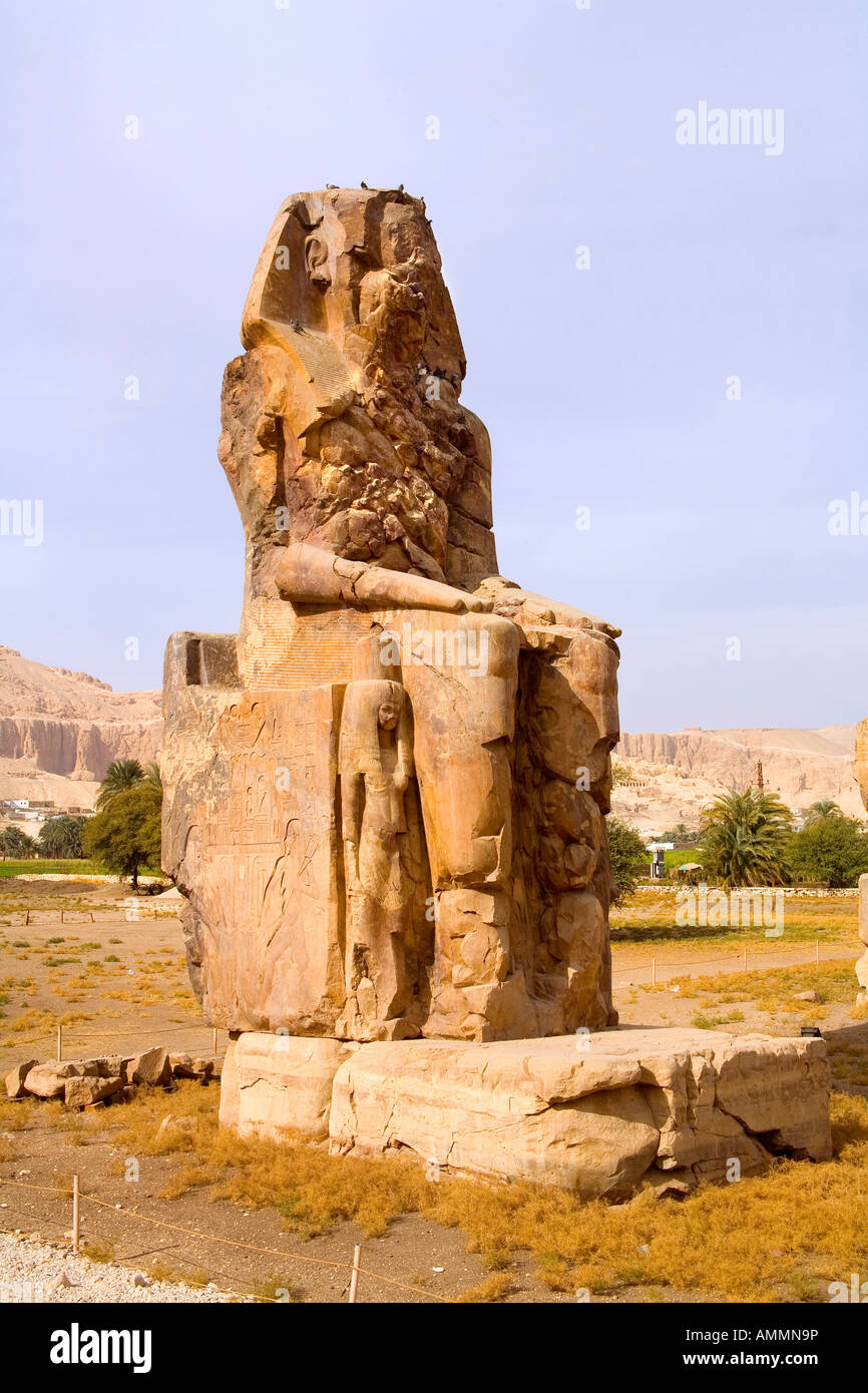 The colossi of memnon -Fotos und -Bildmaterial in hoher Auflösung – Alamy