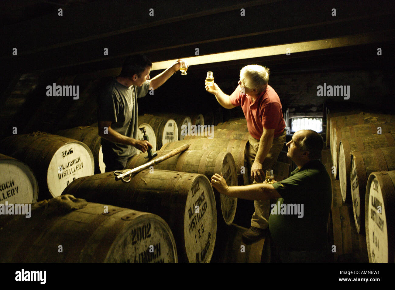 Whisky probe -Fotos und -Bildmaterial in hoher Auflösung – Alamy