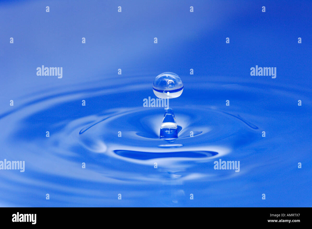 Fiel in wasser -Fotos und -Bildmaterial in hoher Auflösung – Alamy